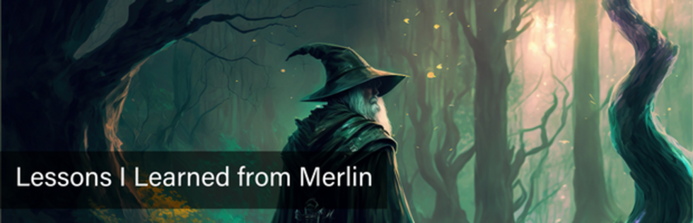 Lessons I Learned from Merlin - TABarron.com