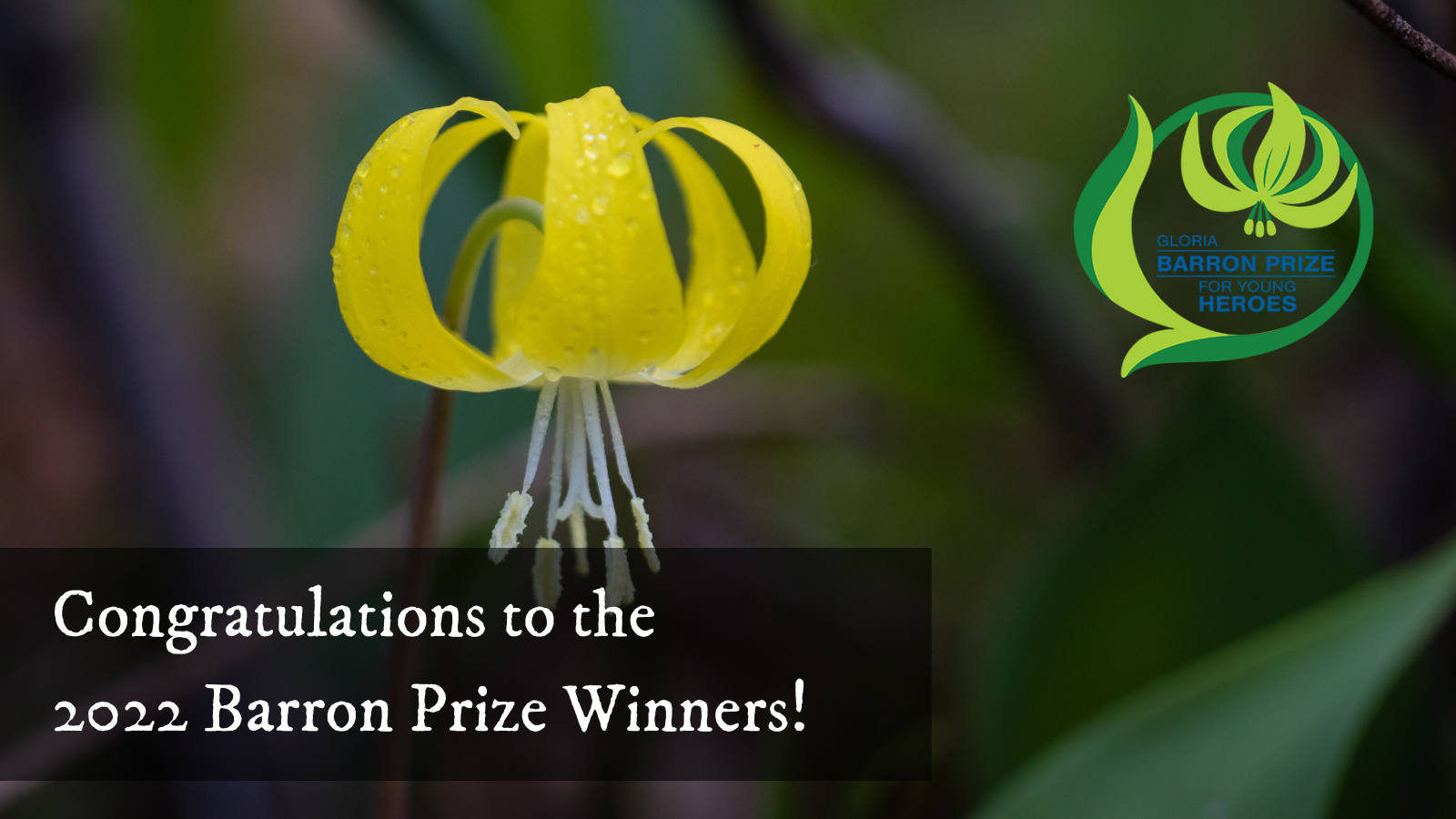 Congratulations to 2022's Barron Prize Winners - TABarron.com