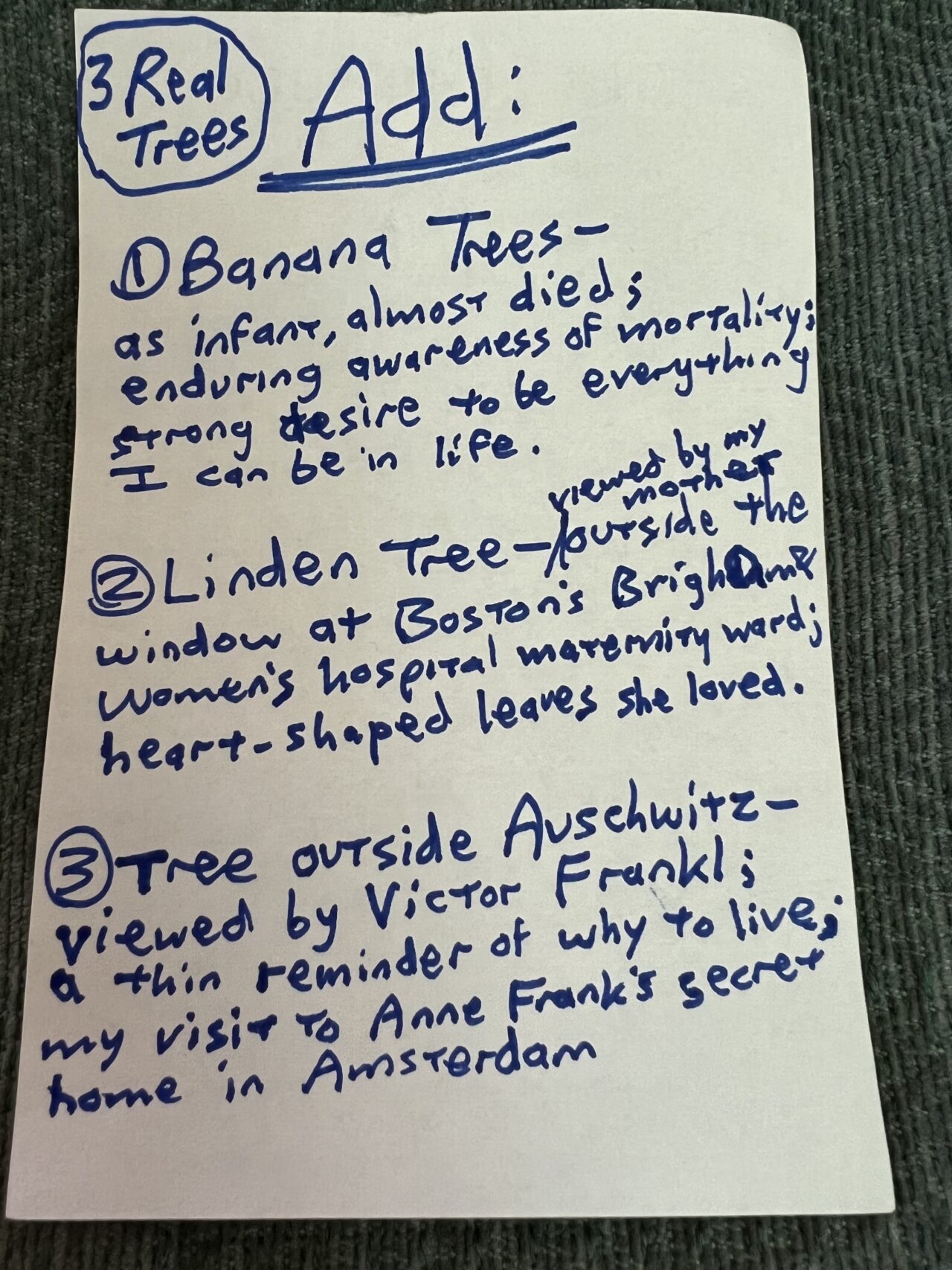 A Few Special Trees - TABarron.com