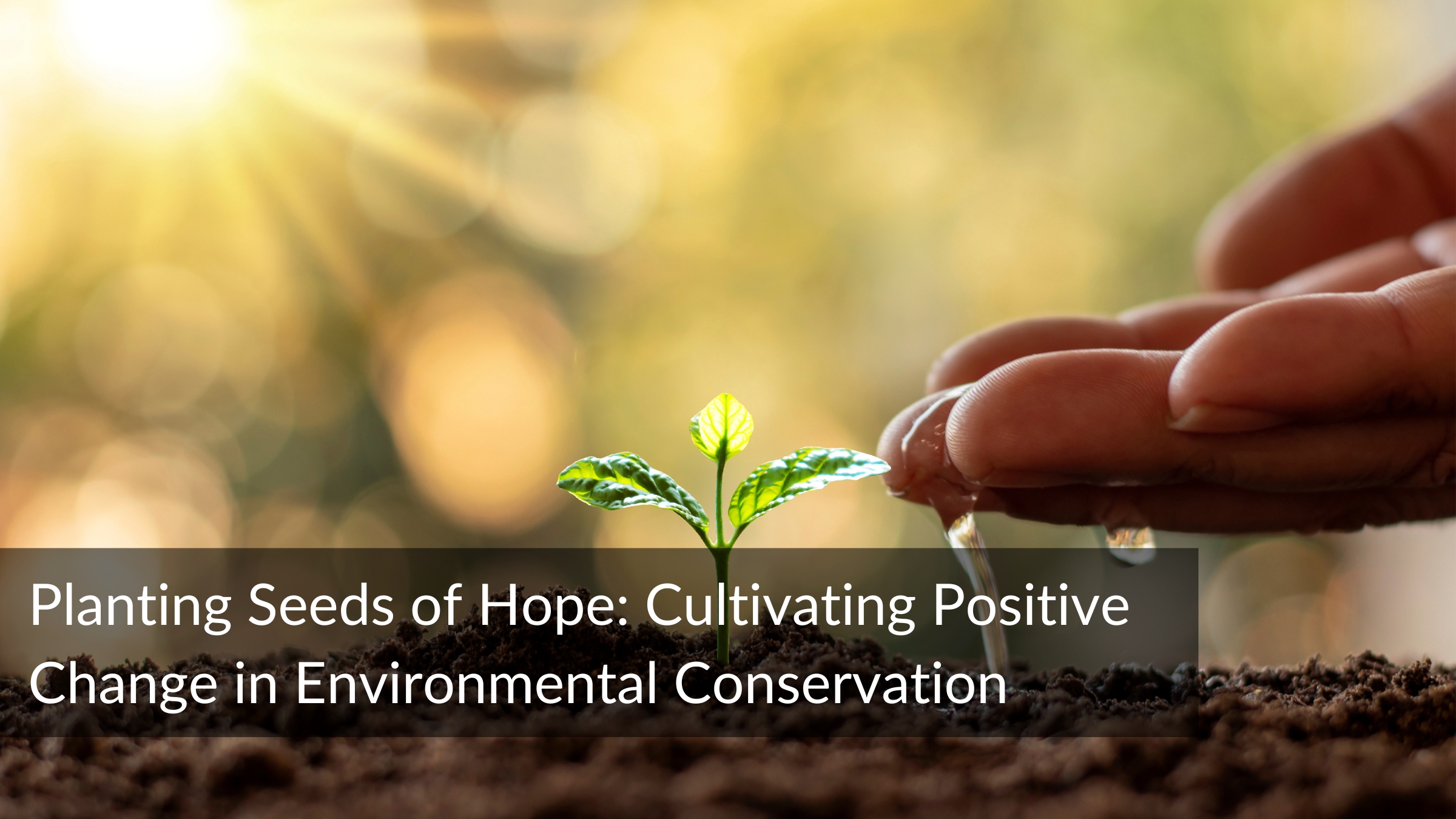 Cultivating Positive Change in Environmental Conservation - TABarron.com