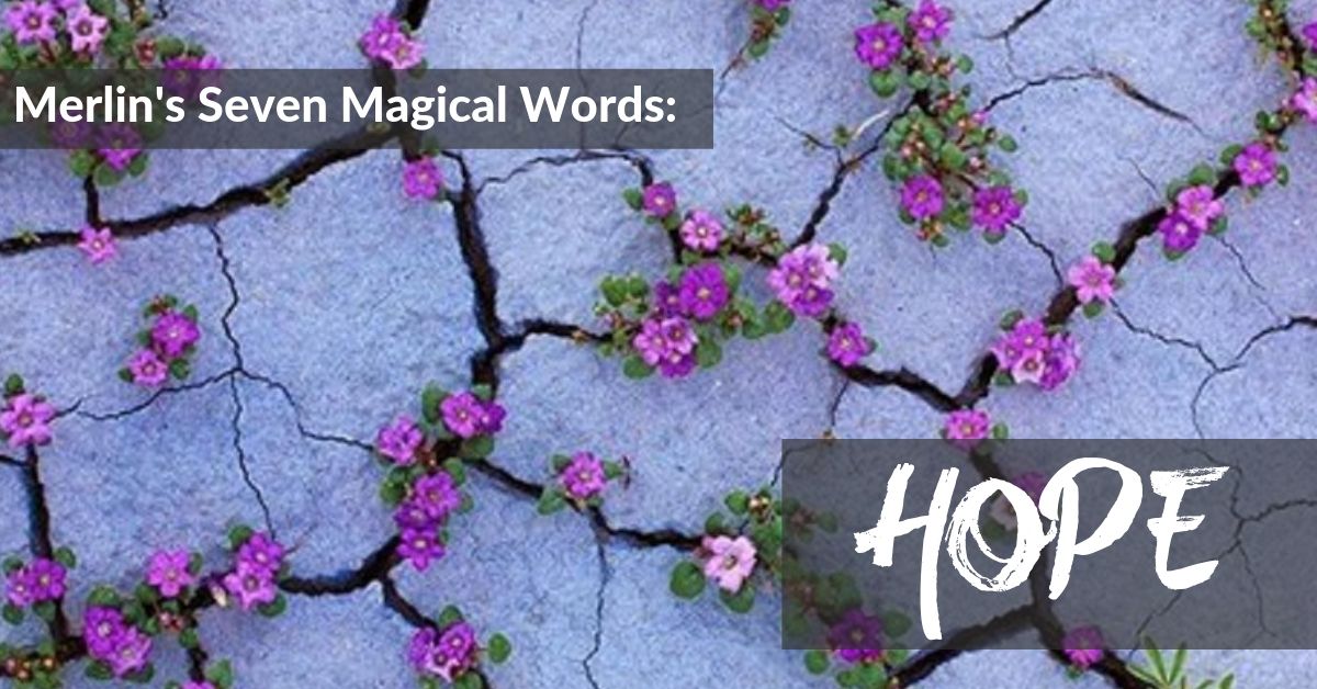 Merlin's Seven Magical Words: Hope - TABarron.com