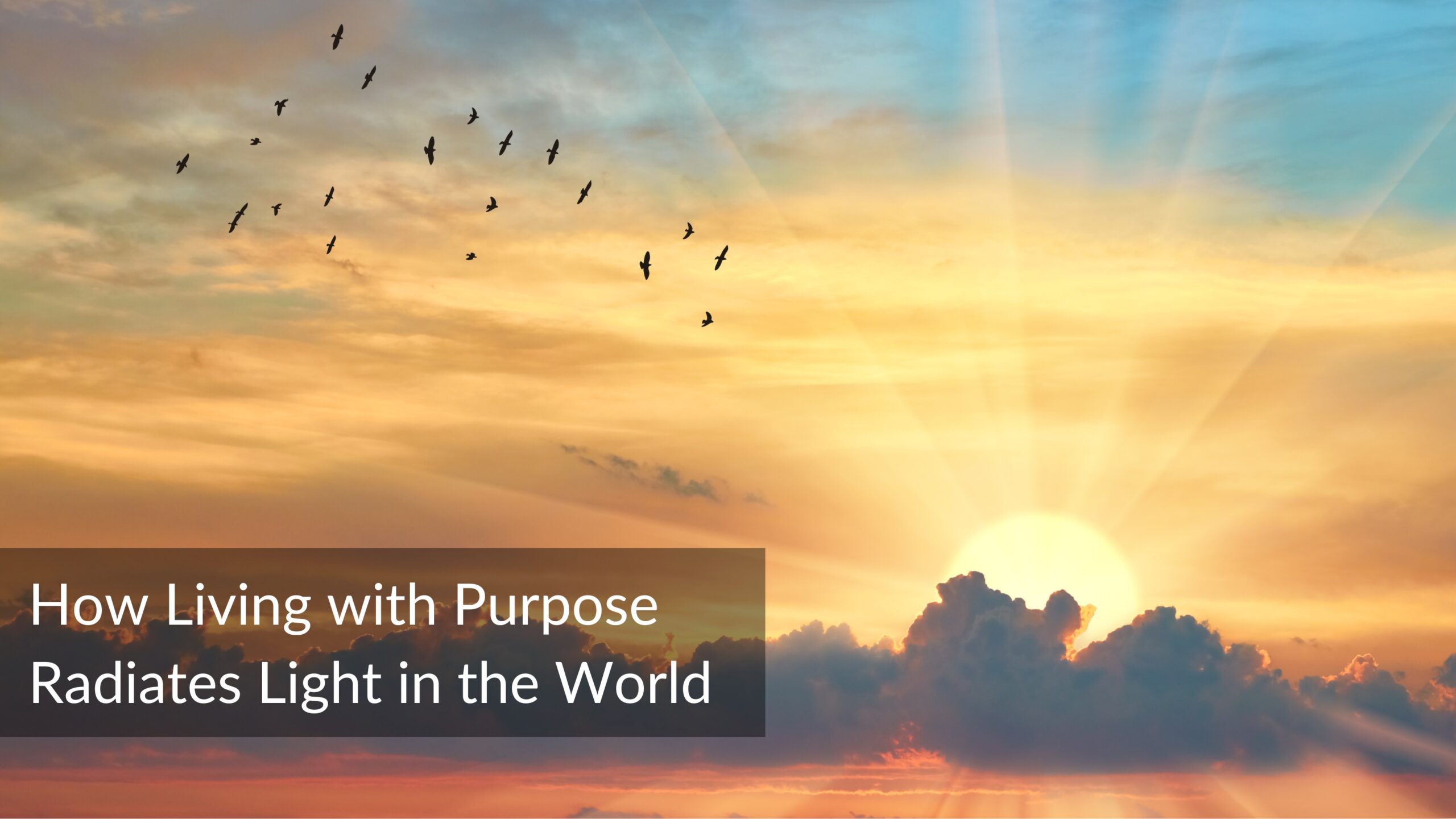 How Living with Purpose Radiates Light in the World - TABarron.com